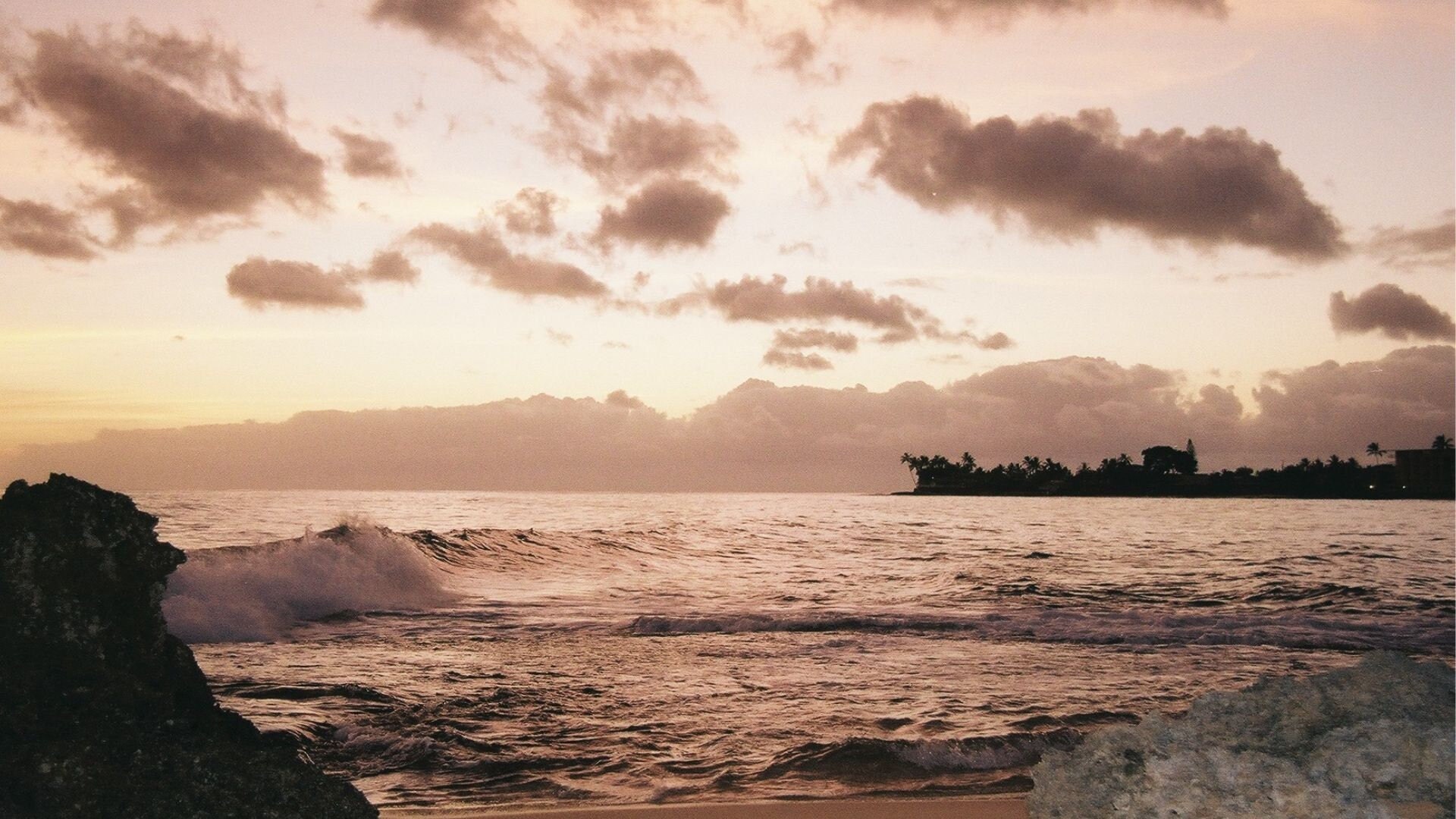 Hawaii Background, Digital Background, Tropical Print, Beach ...