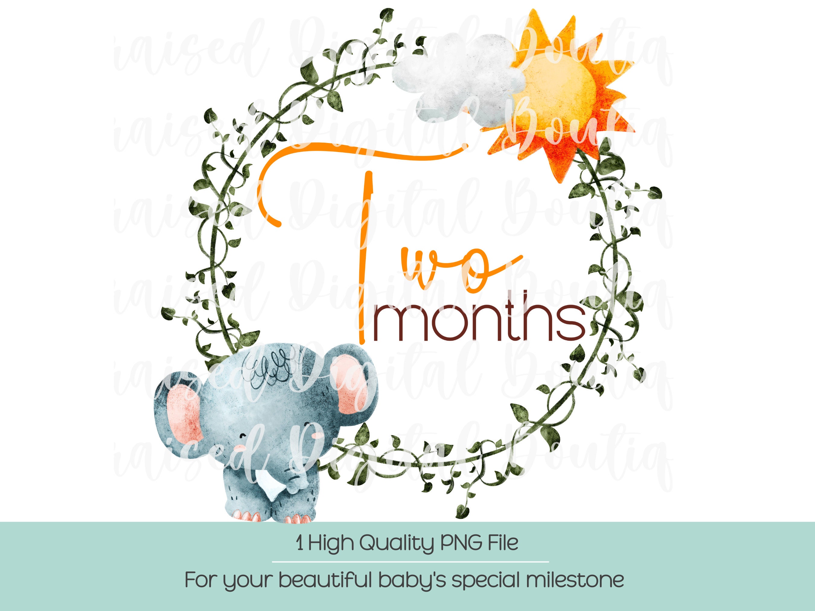 Safari Animals Two Month Baby PNG | Baby's 2nd Month PNG, Jungle ...