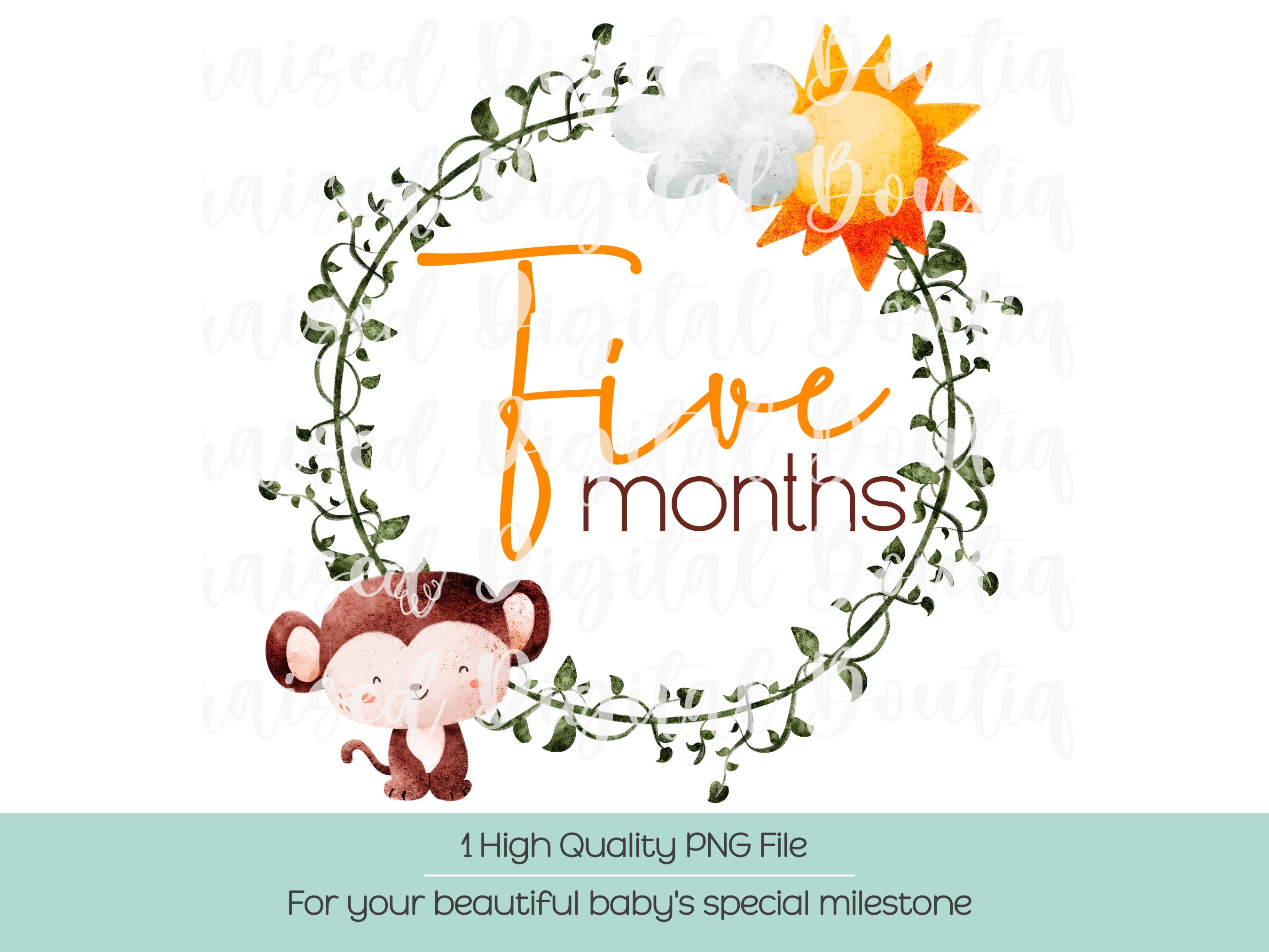 Safari Animals Five Month Baby PNG Baby's 5th Month PNG, Jungle Animals ...
