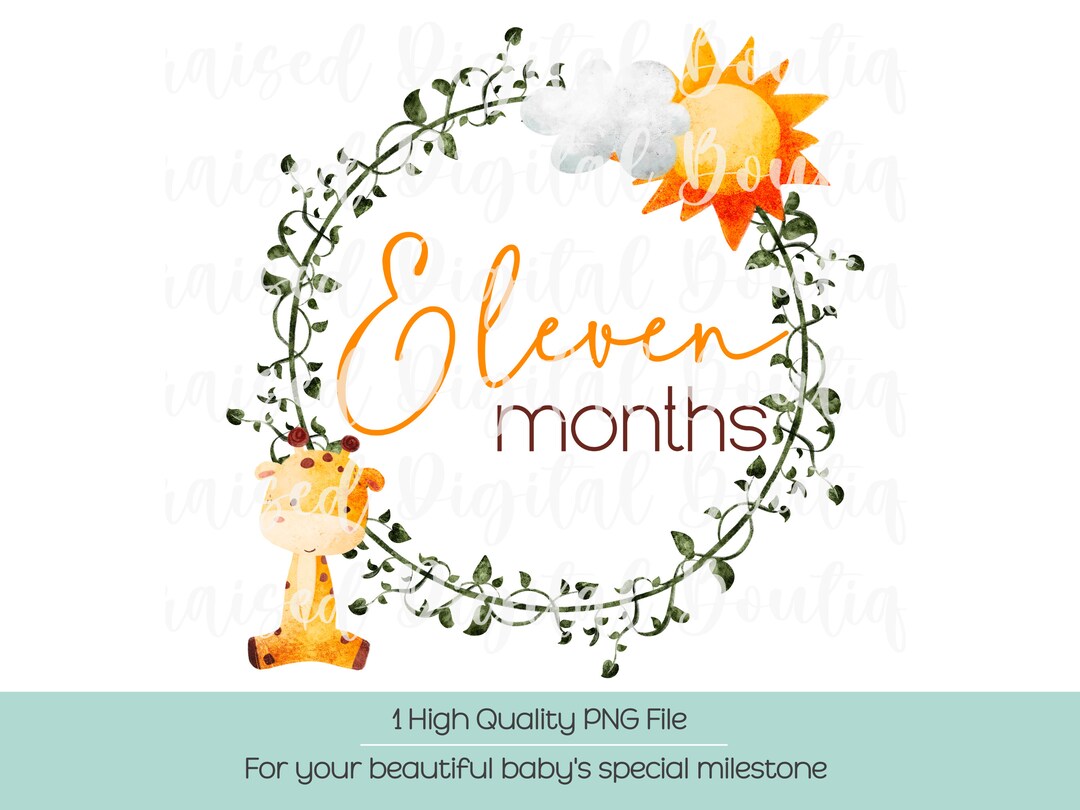Safari Animals Eleven Month Baby PNG Baby's 11th Month - Etsy