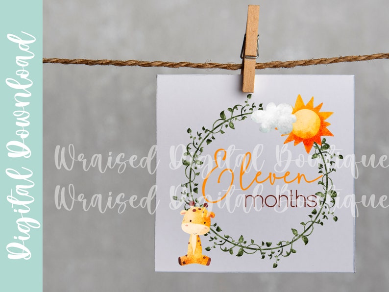Safari Animals Eleven Month Baby PNG Baby's 11th Month - Etsy