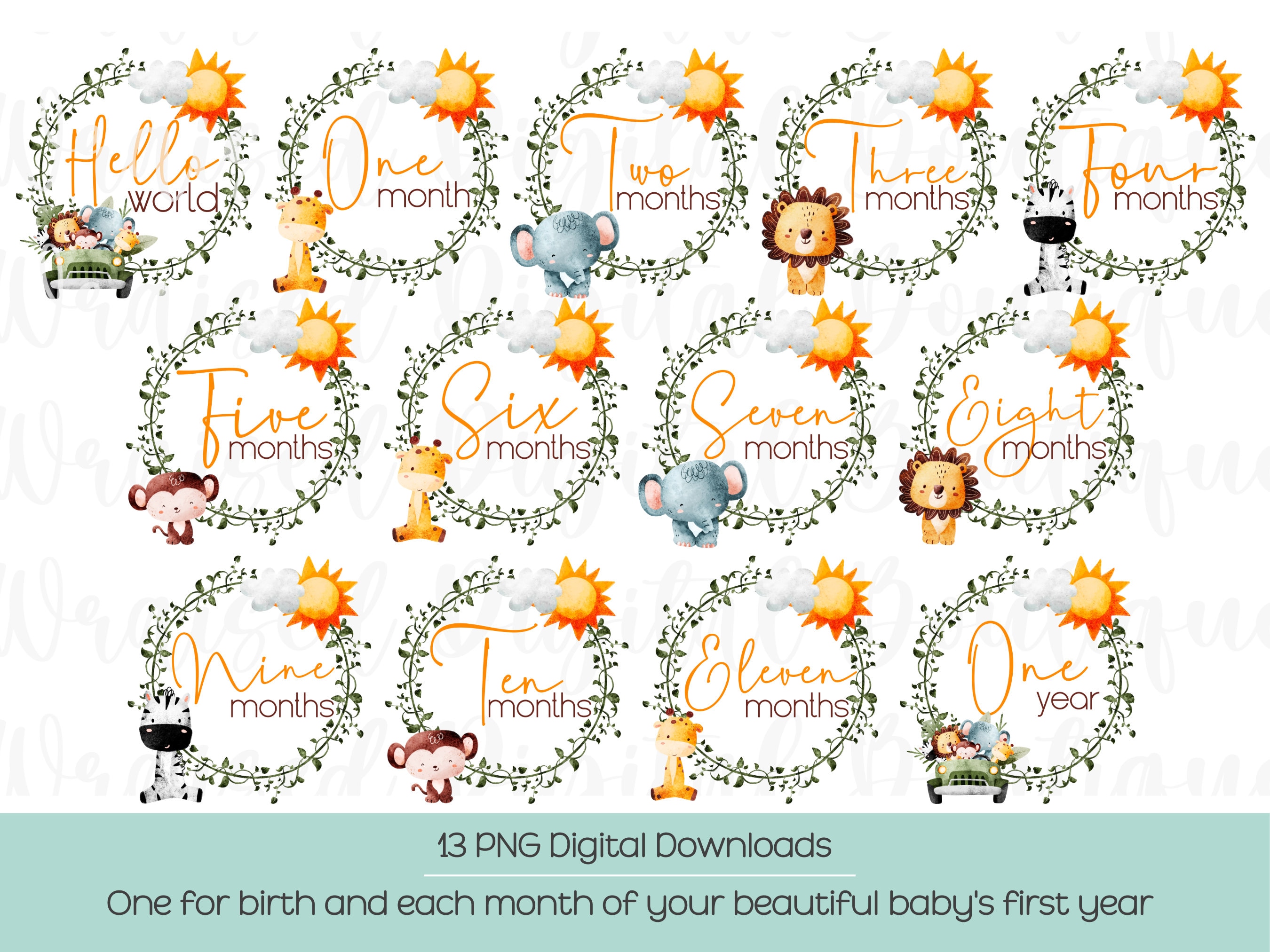 Baby Monthly Milestone PNG Safari Animals Baby PNG Hello - Etsy