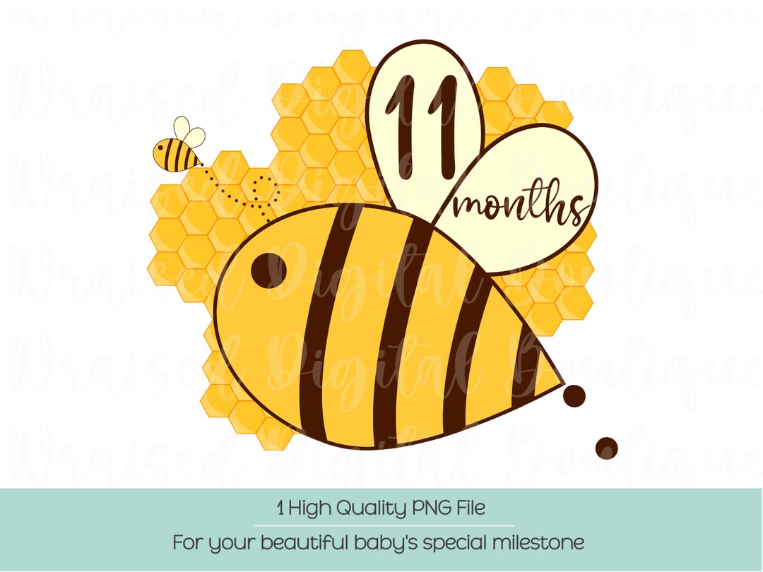 Eleven Month Bee PNG Monthly Milestones, Baby Bee PNG, Bee Png, Hello ...