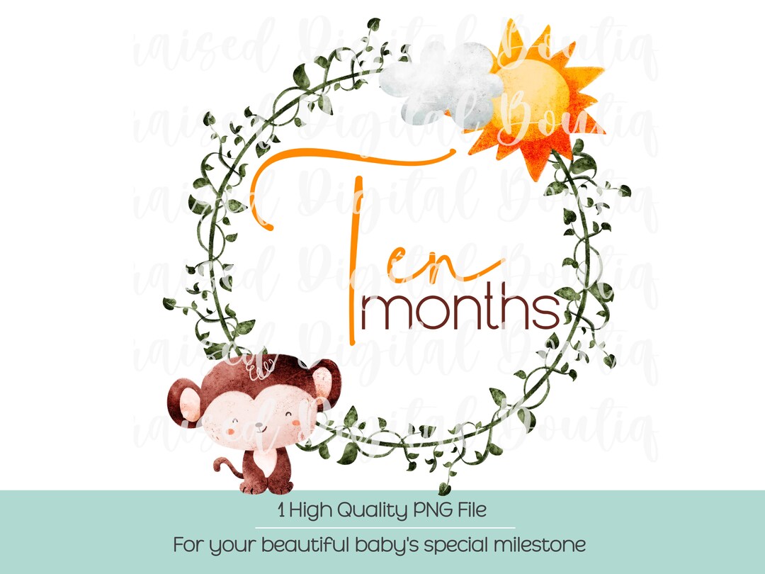 Safari Animals Ten Month Baby PNG | Baby's 10th Month PNG, Jungle ...