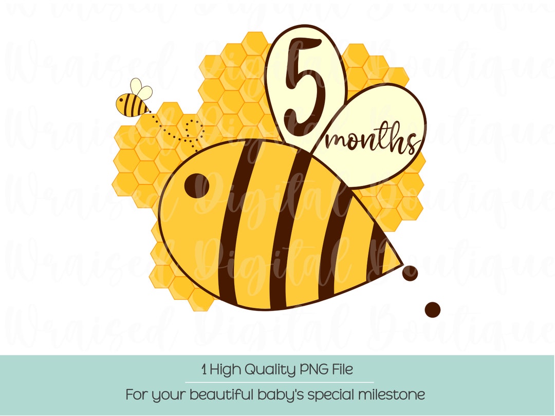 Five Month Bee PNG Monthly Milestones, Baby Bee PNG, Bee Png, Hello ...