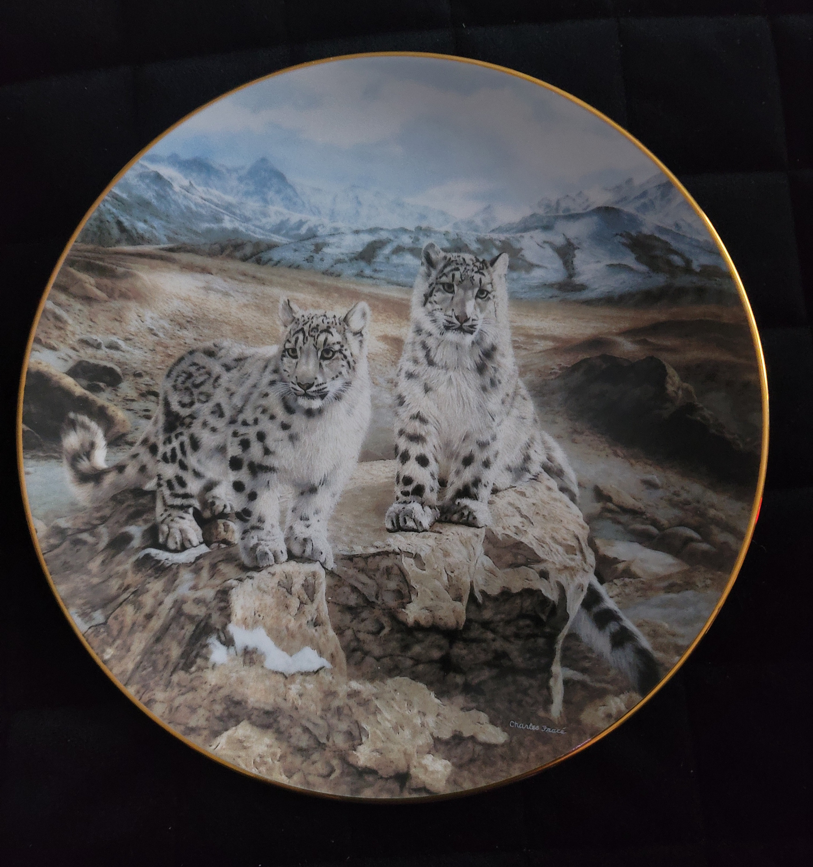 W.S George Collection Plate Secrect HEIGHTS Artist Charles - Etsy