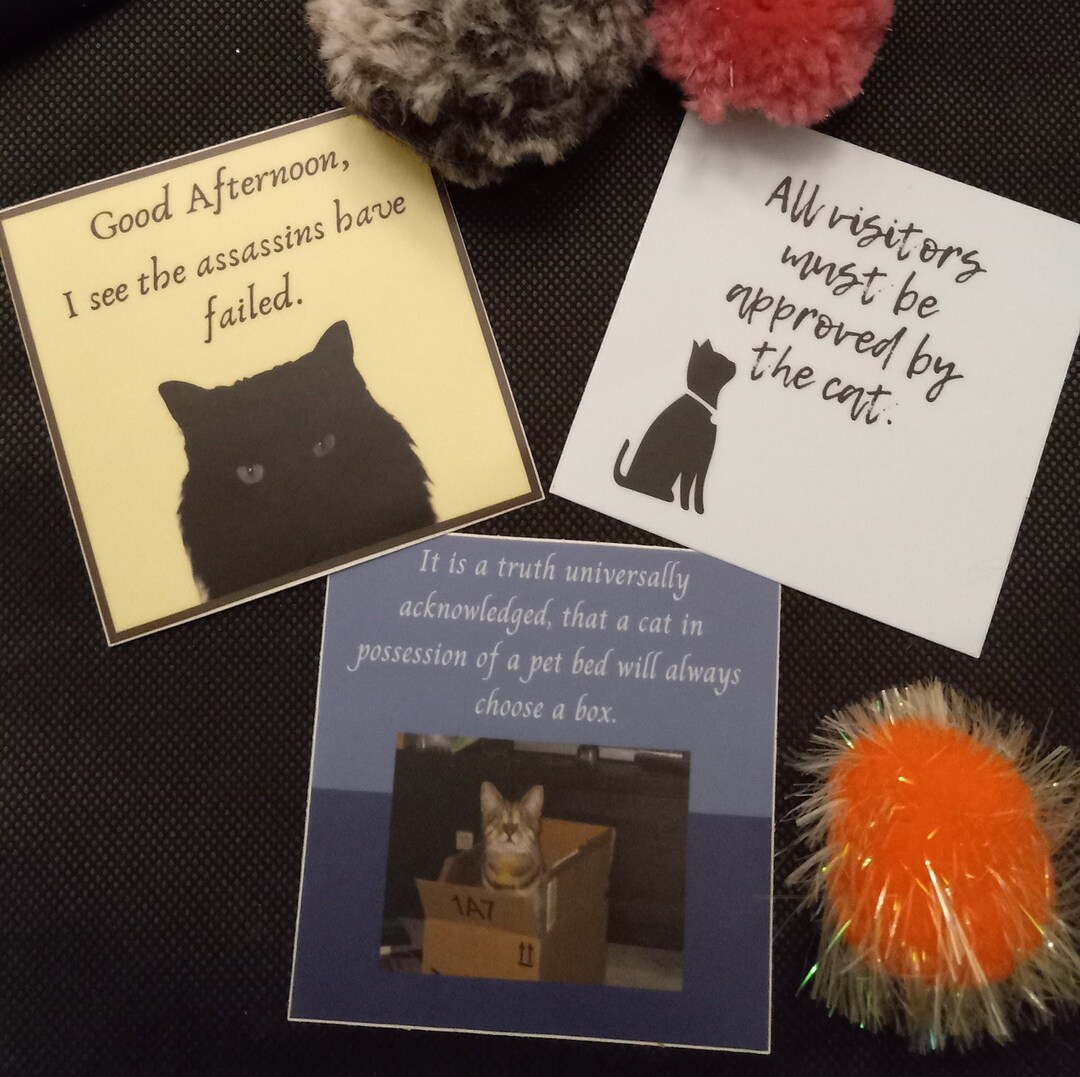 Snarky Cat Sticker Bundle Cat Sticker Bundle Kitty Sticker Bundle - Etsy