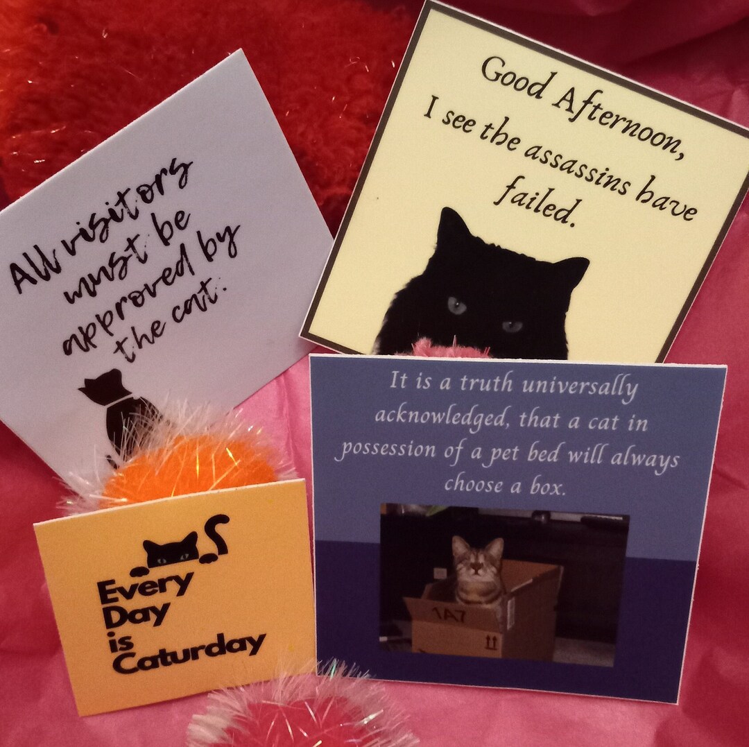 Kitty Sticker Bundle Cat Sticker Bundle - Etsy