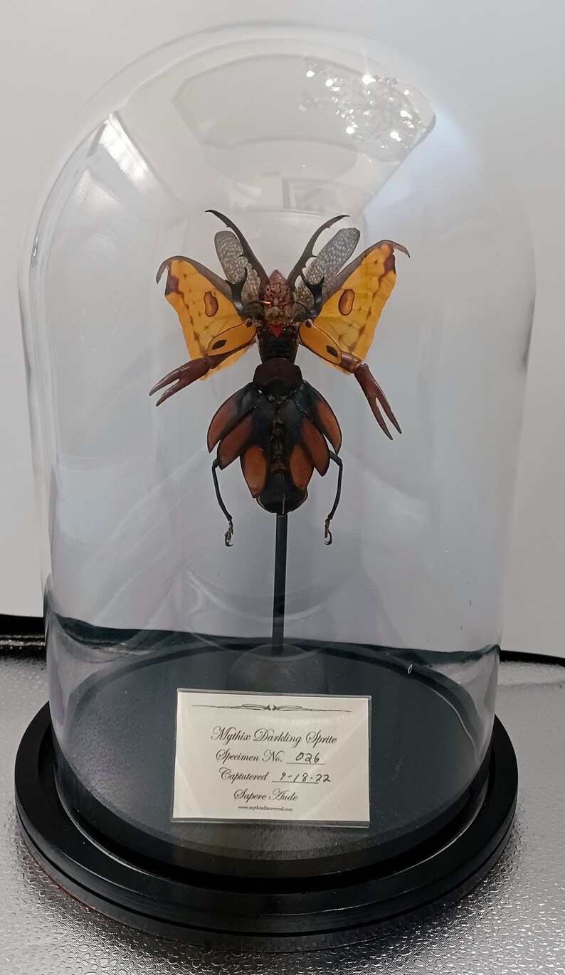 Mythix Darkling Sprite - Fairy- Specimen #026 - Etsy