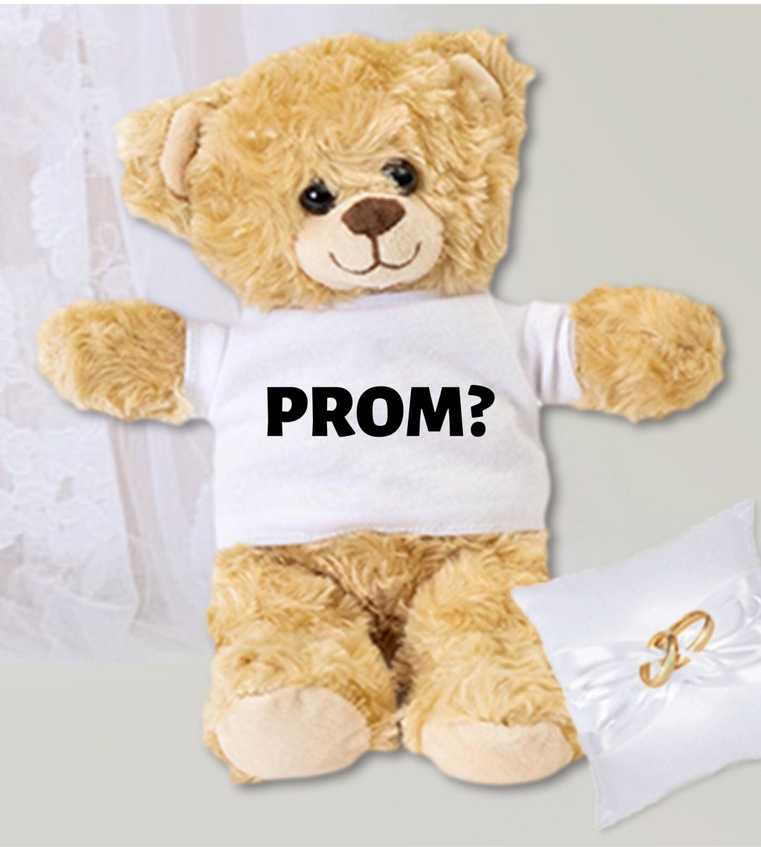 Small Teddy Bear Promposal, Promposal Teddy Bear, Teddy Bear Proposal ...