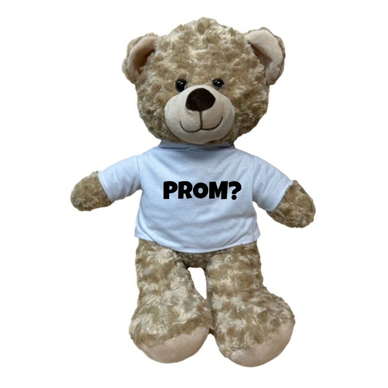Large Teddy Bear Promposal - Etsy