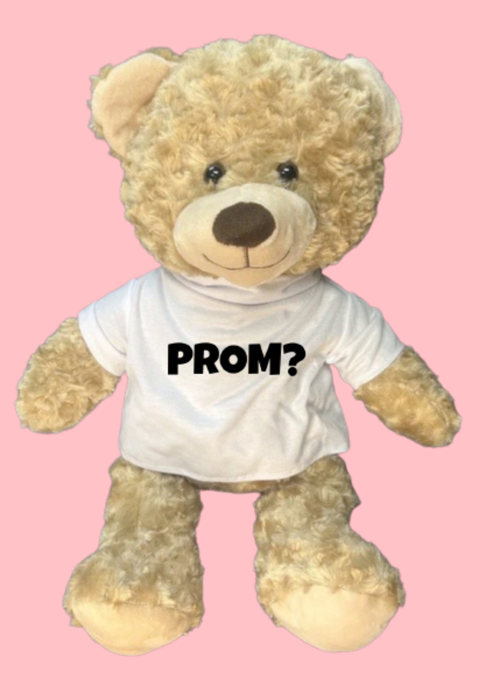 Large Teddy Bear Promposal - Etsy