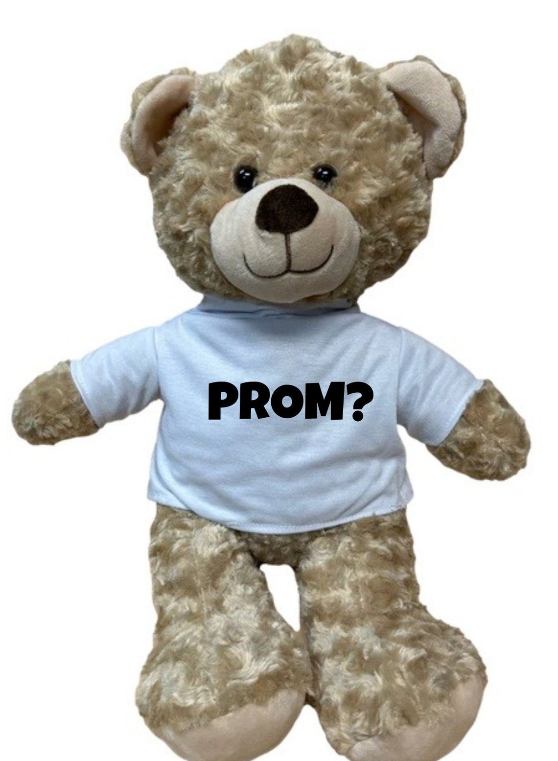 Large Teddy Bear Promposal - Etsy