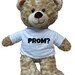 Large Teddy Bear Promposal - Etsy