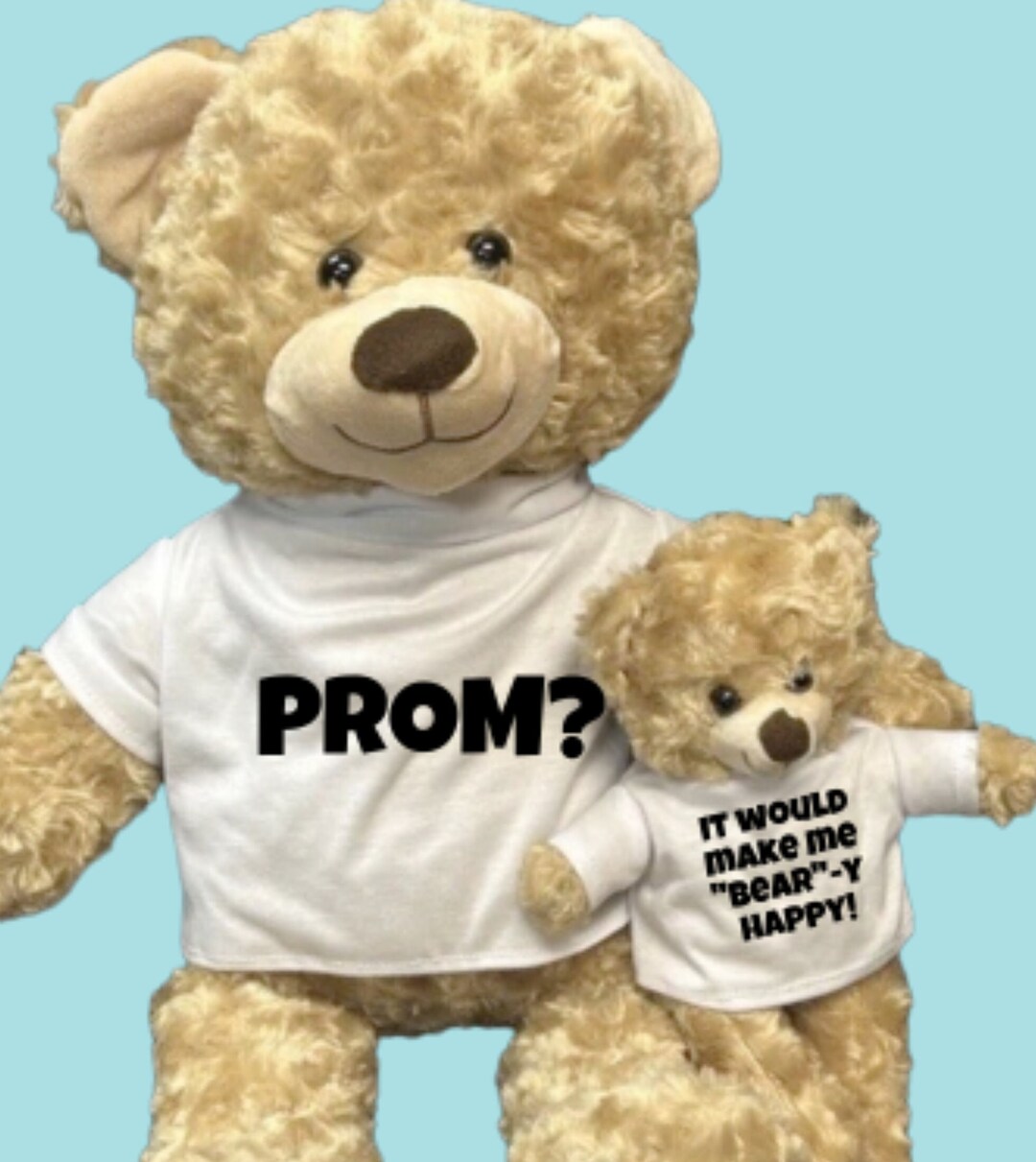 Teddy Bear Duo Promposal - Etsy