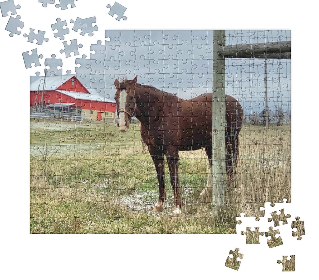 Jigsaw Puzzle, Horse Puzzle, Gift for Horse Lovers, Choice of Sizes - Etsy