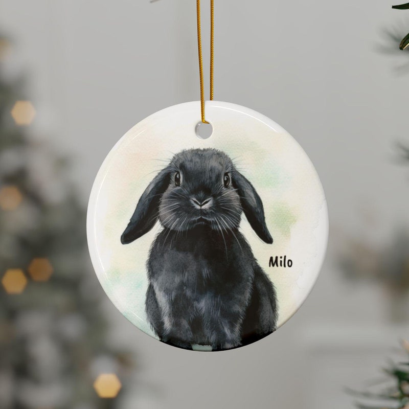 Christmas Bunny Mini Lop - Etsy