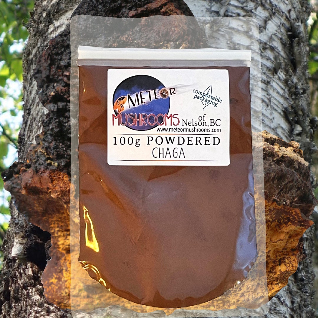 Chaga Mushroom Powder 100g - Etsy