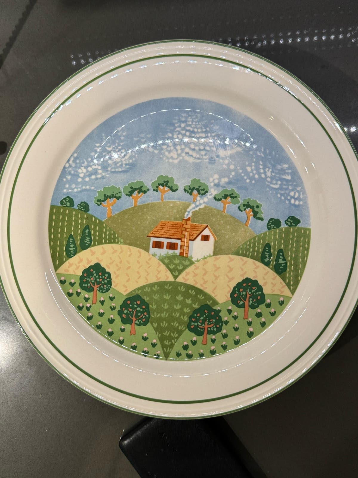 Set of 7 Vintage Sango Sangostone 10-5/8" Dinner Plates, “country ...