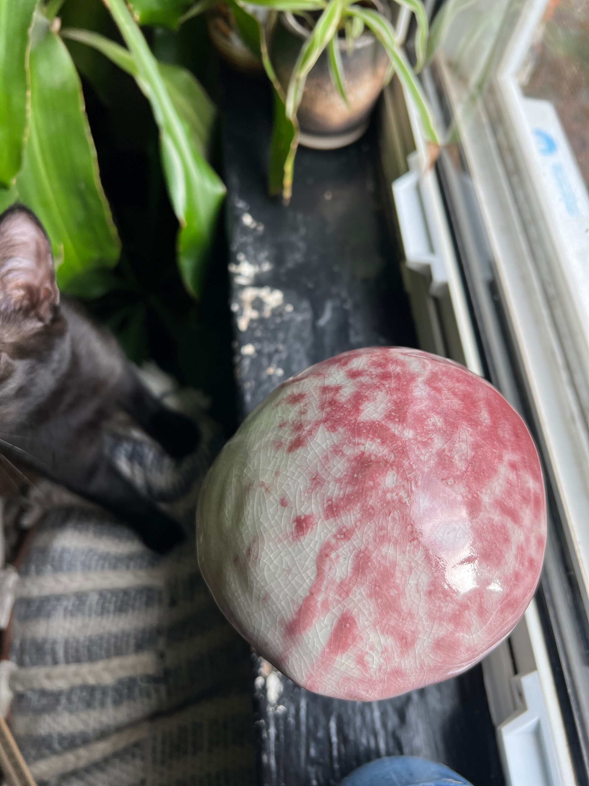Red & White Ceramic Shroom Home - Etsy