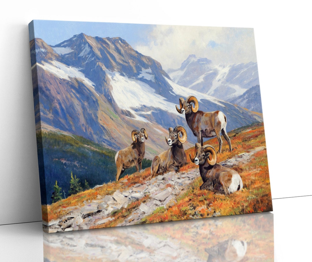 Canvas Wall Art Print Giclée Carlson Mountain Rams Elders. Impressive ...