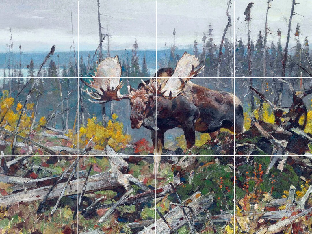 Moosy Moose in a Landscape Reindeer Deer Wildlife Nature Country Accent ...