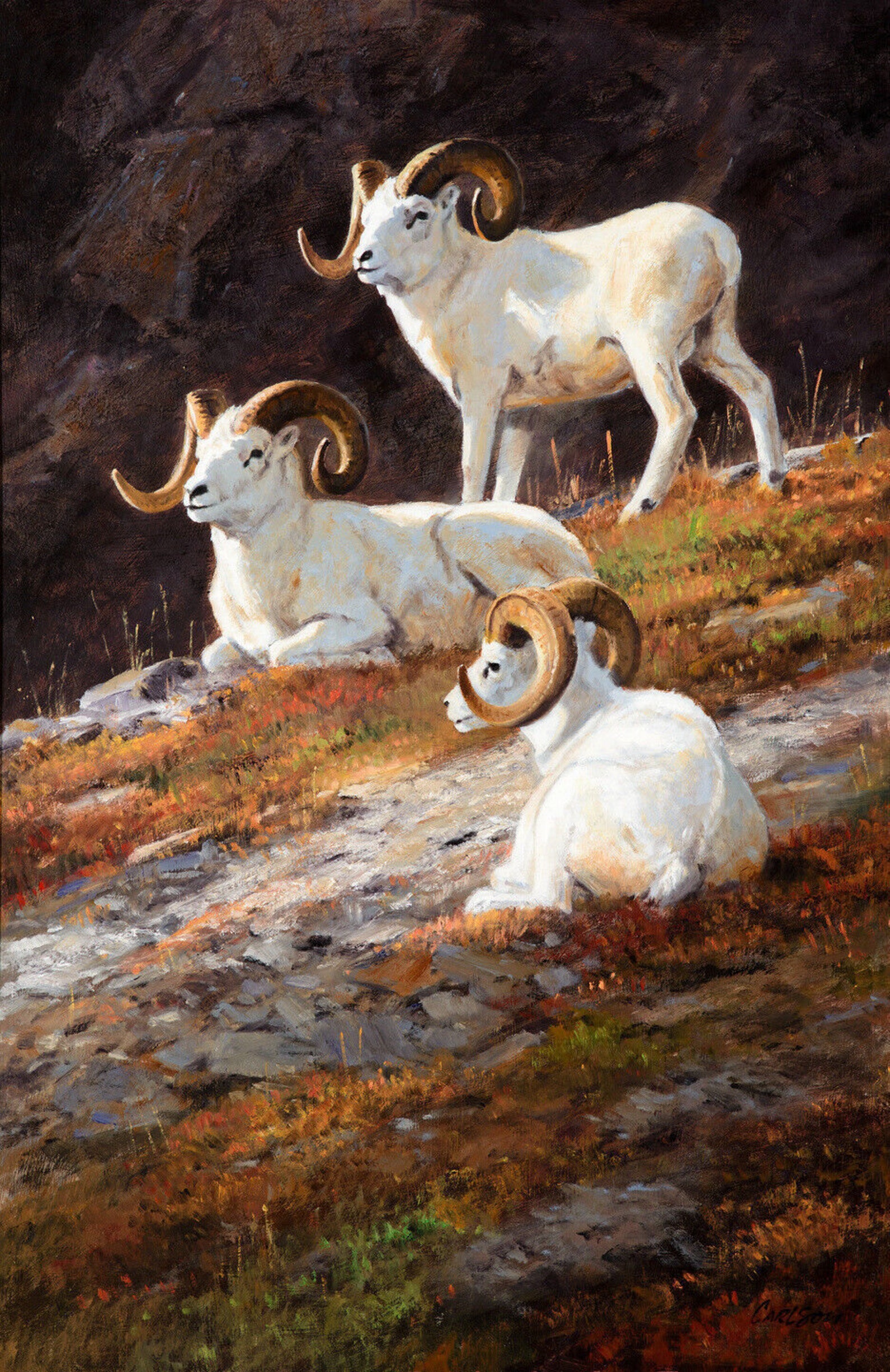 Dall Rams Mountain Goats Wildlife Ceramic Tile Mural - Etsy