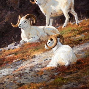 Dall Rams Mountain Goats Wildlife Ceramic Tile Mural - Etsy