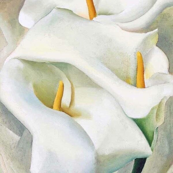 Calla Lily Wall Art - Etsy
