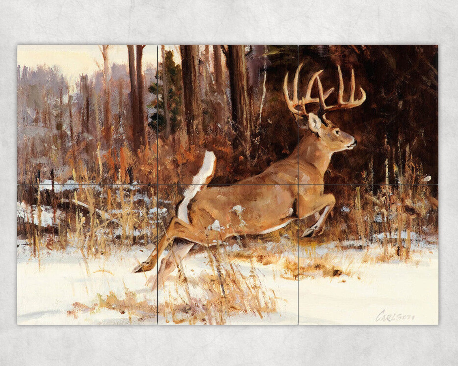 Whitetail Deer Dense Cover Moose Wildlife Ceramic Tile Mural Backsplash ...