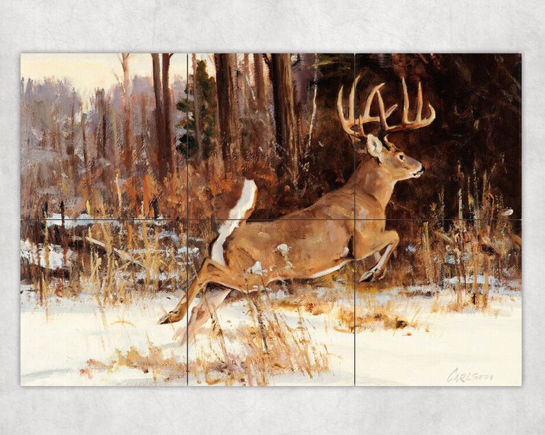 Whitetail Deer Dense Cover Moose Wildlife Ceramic Tile Mural Backsplash ...