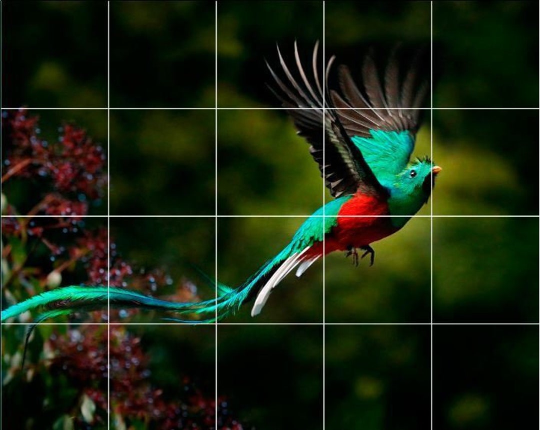 Exotic Flying Resplendent Quetzal Bird Ceramic Tile Mural Medallion ...