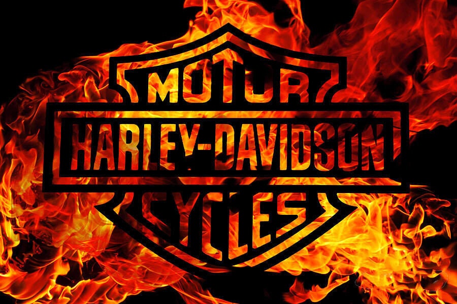 Harley Davidson Logo With Flames Drawings