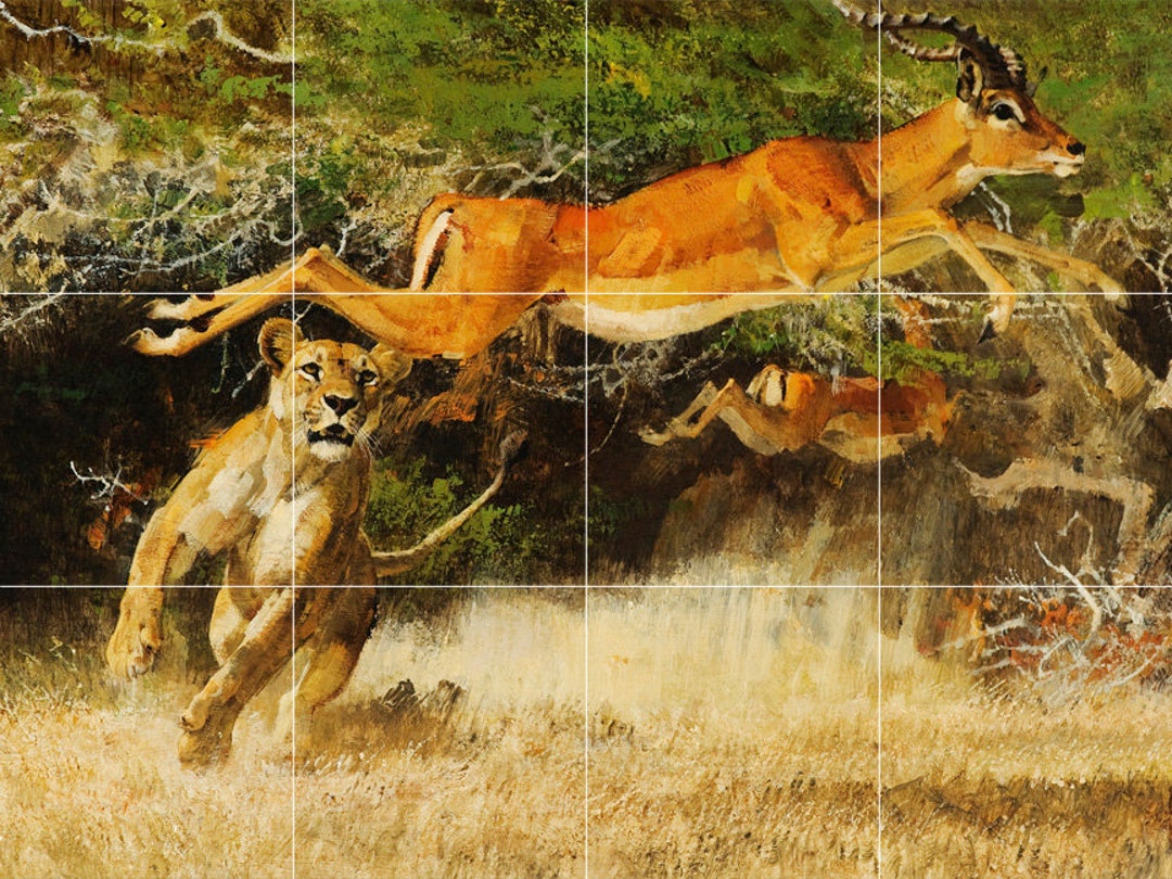 Lion Chasing Impala Antelope a Near Miss Big Cat Nature Beauty Art ...