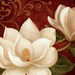 White Magnolia Flower Garden Continental Ceramic Tile Mural Backsplash ...