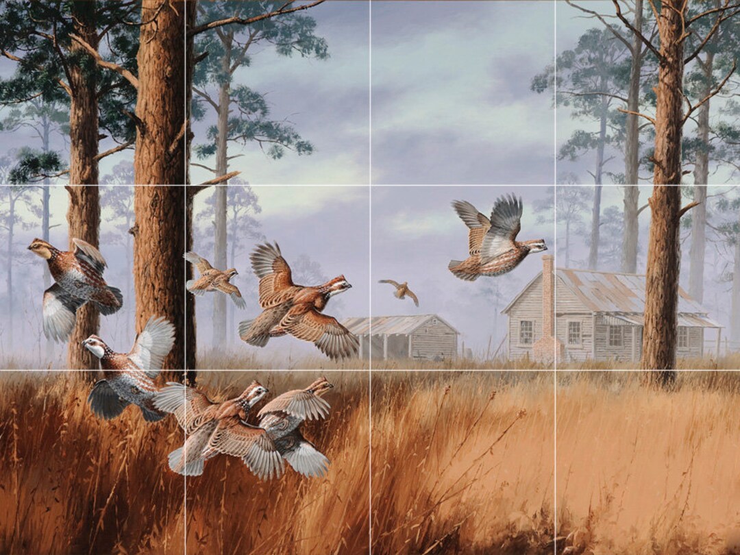 Quail Gamebird Convey Rise Farm Western Country Nature Beauty Art ...