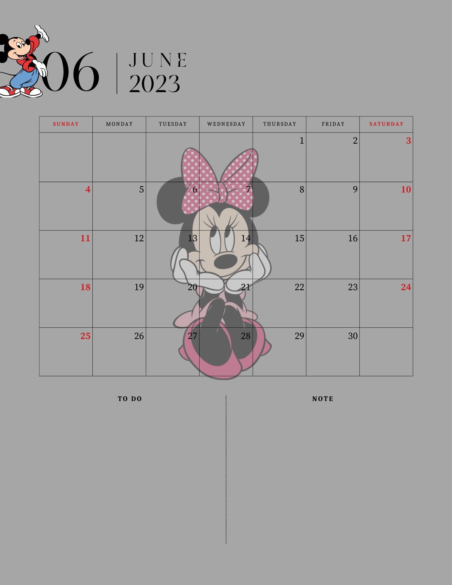 Mickey and Minnie Mouse Monthly Planner - Etsy