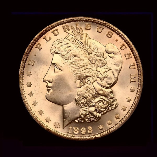 Morgan Silver Dollars - Etsy