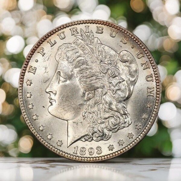 Morgan Silver Dollar Coin - Etsy