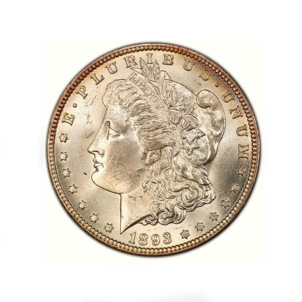 Morgan Dollar Coin - Etsy