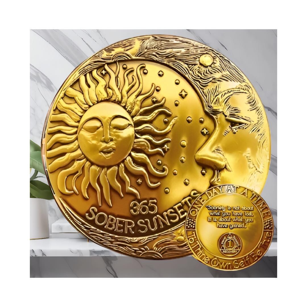 1 Year Sober AA Chip, One Year Sobriety Coin, 1 Year Recovery Coins ...