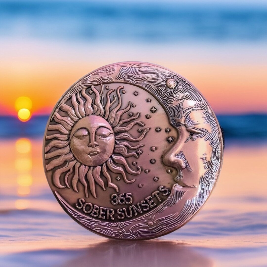 One Year Sober Coin, 1 Year Sobriety Chip, Sobriety Gifts Addiction ...