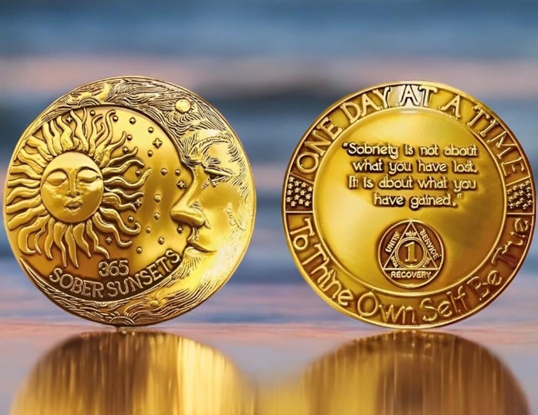 1 Year Sobriety Coin Sober AA Chips Sobriety Gifts One Day at a Time ...