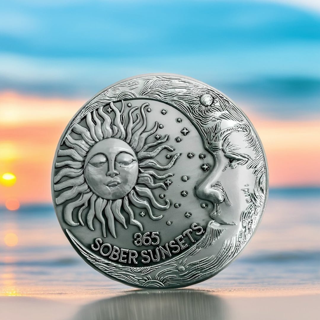 One Year Sober Coin, 1 Year Sobriety Chip, Sobriety Gifts Addiction ...