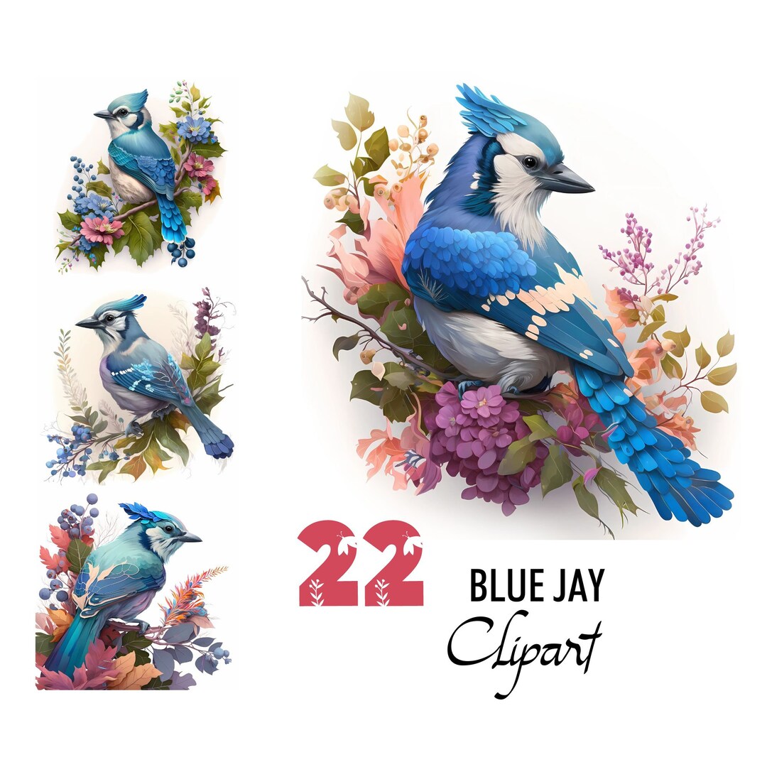 Blue Jay Clipart Bird Songbird Pajaros Digital Illustration Paper ...