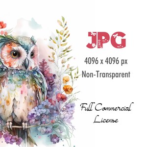 Owl Colorful Clipart Watercolor Illustration Spring Floral Digital ...