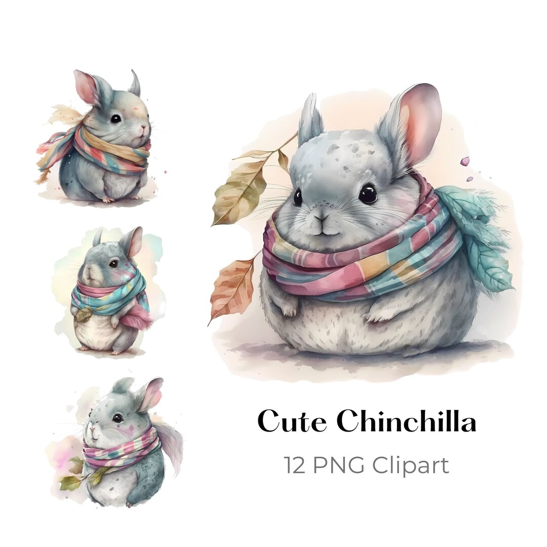 Chinchilla PNG Clipart Animal Rodent Digital Illustration Paper ...