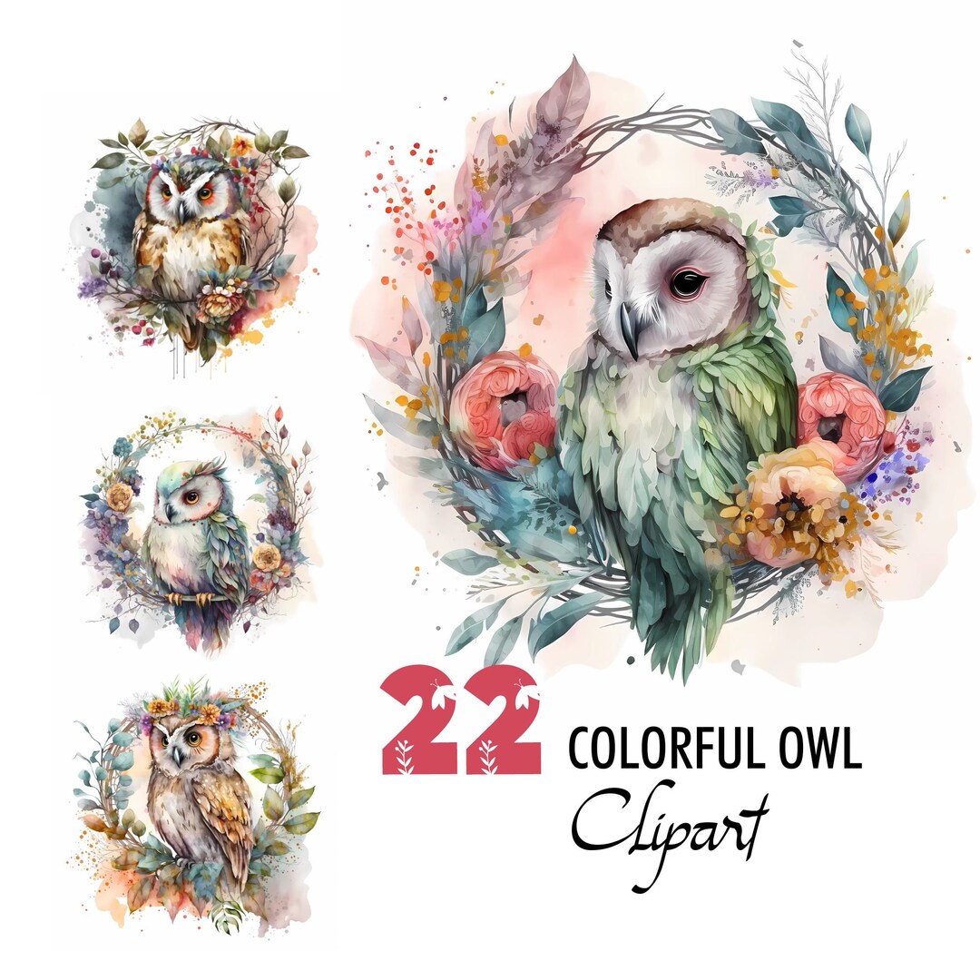Owl Colorful Clipart Watercolor Illustration Spring Floral Digital ...
