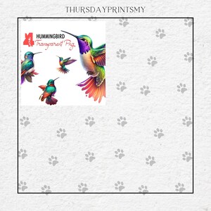 180+ Hummingbird Mega Bundle Clipart Bird Graphic Illustration Image ...