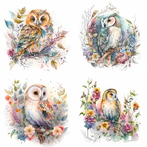 Owl Colorful Clipart Watercolor Illustration Spring Floral Digital ...